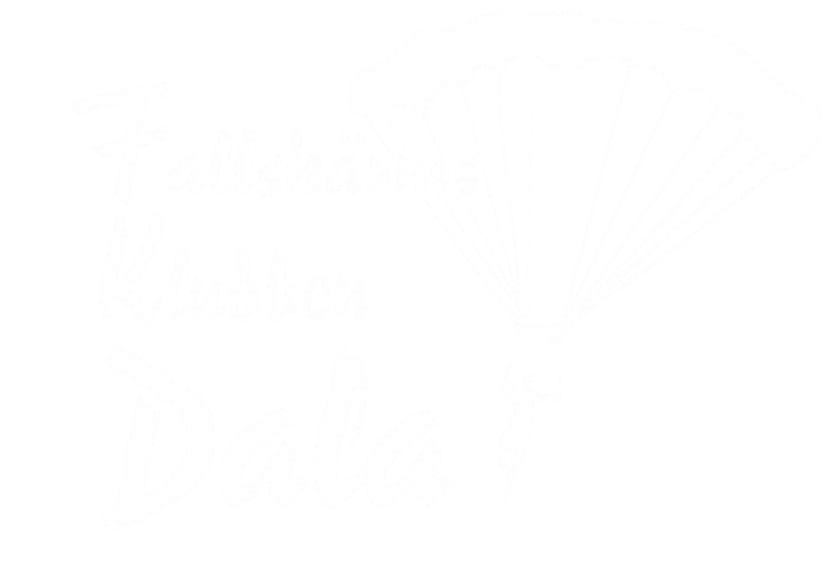 Borlänge Flygklubb 90 år av flyg – Borlänge Airshow 2026